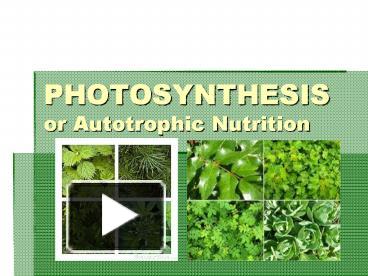 PHOTOSYNTHESIS or Autotrophic Nutrition presentation | free to download