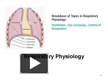 Respiratory Physiology presentation | free to view