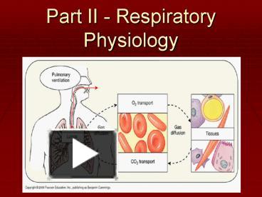 Part II - Respiratory Physiology presentation | free to view