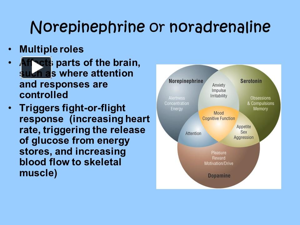 PPT – Norepinephrine or noradrenaline PowerPoint presentation | free to download - id: 780c6f-MThlY