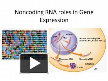 Noncoding RNA roles in Gene Expression presentation | free to download