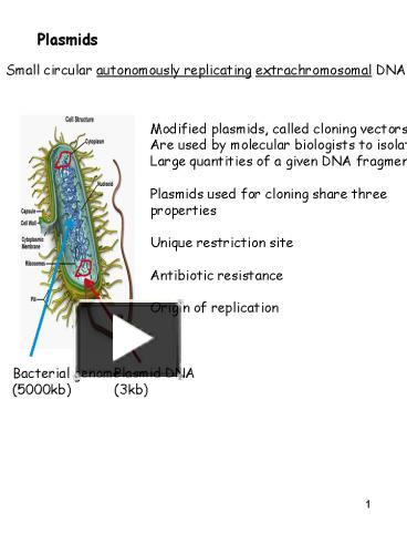 Plasmids presentation | free to view