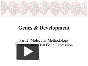 PPT – Genes PowerPoint presentation | free to view - id: 785e0-Zjc1M