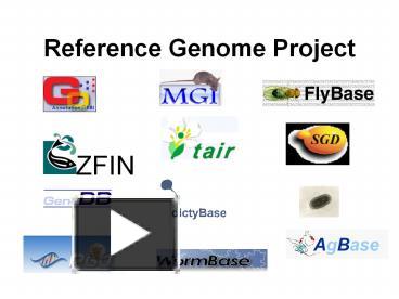 PPT – Reference Genome Project PowerPoint presentation | free to ...
