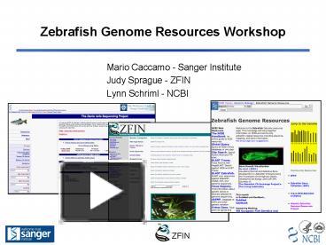 Zebrafish Genome Resources Workshop presentation | free to view