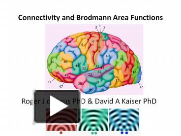 Connectivity and Brodmann Area Functions presentation | free to view