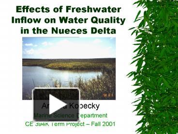PPT – Effects of Freshwater Inflow on Water Quality in the Nueces Delta ...