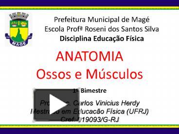 PPT – ANATOMIA PowerPoint presentation | free to download - id: 78b5d7 ...