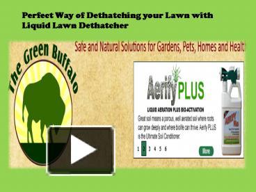 PPT – Perfect Way of Dethatching your Lawn with Liquid Lawn Dethatcher ...