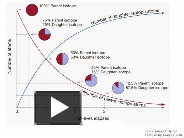 PPT – from Freeman PowerPoint presentation | free to view - id: 78e1e-ZDc1Z