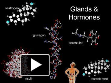 PPT – Glands PowerPoint presentation | free to download - id: 794e40-ZTE3O