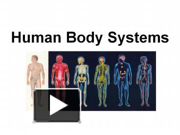 Human Body Systems presentation | free to download
