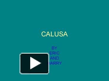 PPT – CALUSA PowerPoint presentation | free to view - id: 797dd-ZDc1Z