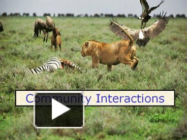 Community Interactions presentation | free to view