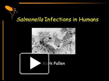 Salmonella Infections in Humans presentation | free to view
