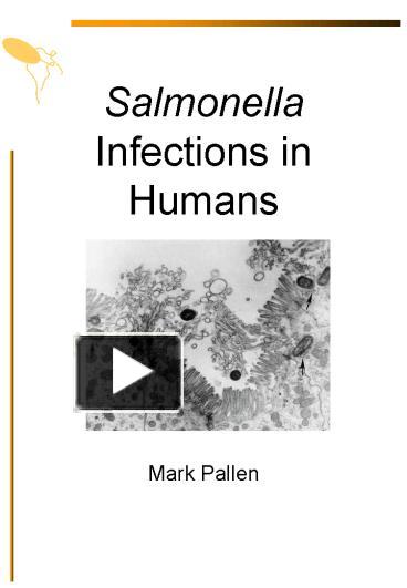 PPT – Salmonella Infections in Humans PowerPoint presentation | free to ...