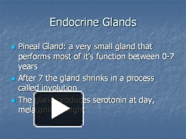 Endocrine Glands presentation | free to download