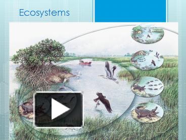PPT – Ecosystems PowerPoint presentation | free to view - id: 79ef32-N2FhZ