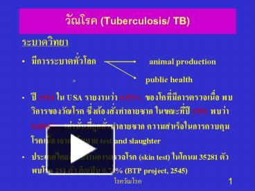 PPT – ?????? (Tuberculosis/ TB) PowerPoint presentation | free to view ...
