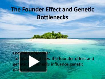 The Founder Effect and Genetic Bottlenecks presentation | free to view