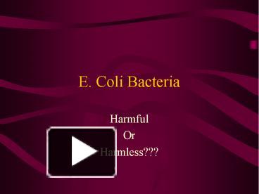 E. Coli Bacteria presentation | free to download
