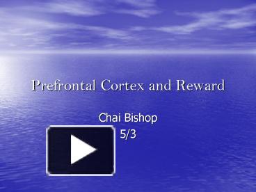 Prefrontal Cortex and Reward presentation | free to download