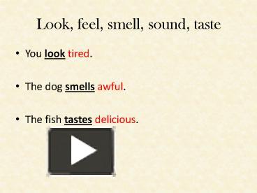 Look, feel, smell, sound, taste presentation | free to download