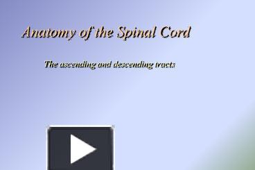 PPT – Anatomy of the Spinal Cord PowerPoint presentation | free to ...