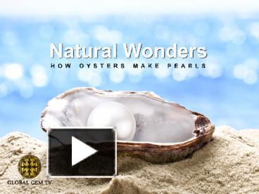 How Oysters Make Pearls presentation | free to download