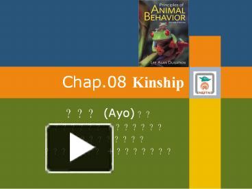 PPT – Chap.08 Kinship PowerPoint presentation | free to view - id ...