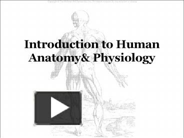 Introduction to Human Anatomy presentation | free to download