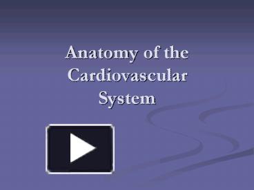 Anatomy of the Cardiovascular System presentation | free to view