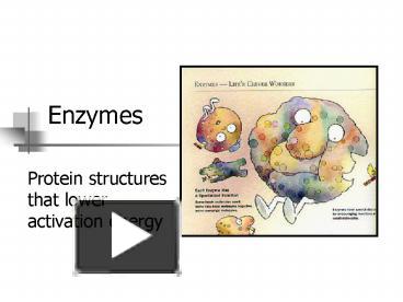 PPT – Enzymes PowerPoint presentation | free to download - id: 7b0fb4-NzJmY
