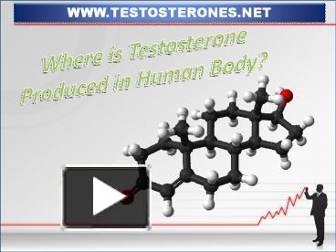 Where is Testosterone Produced in Human Body presentation | free to ...