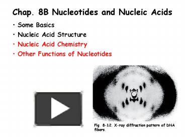 Lehninger Principles of Biochemistry presentation | free to download