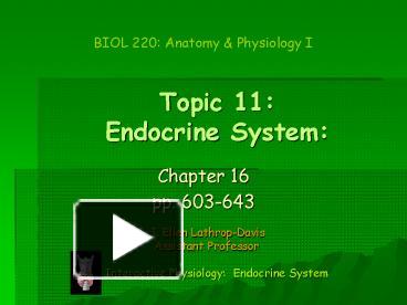 PPT – Topic 11: Endocrine System: PowerPoint presentation | free to ...