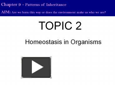 Chapter 9 - Patterns of Inheritance presentation | free to view
