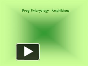 Frog Embryology- Amphibians presentation | free to view