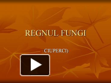REGNUL FUNGI presentation | free to download