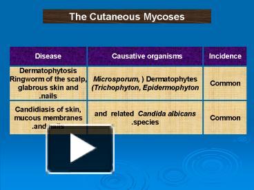 PPT – The Cutaneous Mycoses PowerPoint presentation | free to view - id ...