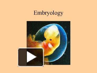 Embryology presentation | free to view