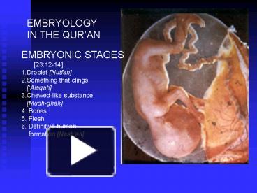 EMBRYOLOGY presentation | free to view