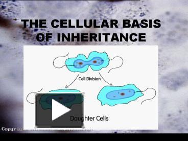 THE CELLULAR BASIS OF INHERITANCE presentation | free to view