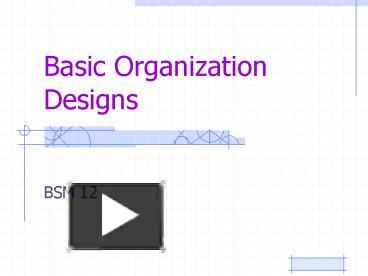 Basic Organization Designs presentation | free to view
