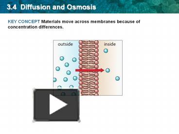 PPT – 3.4 Diffusion and Osmosis PowerPoint presentation | free to ...