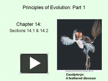 PPT – Principles of Evolution: Part 1 PowerPoint presentation | free to ...