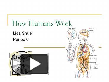 PPT – How Humans Work PowerPoint presentation | free to view - id ...