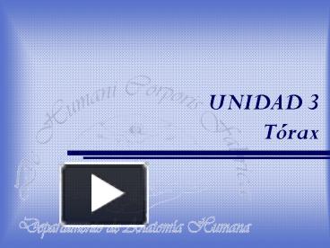 PPT – UNIDAD 3 T PowerPoint presentation | free to view - id: 7d2d96-NWEzY