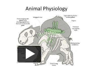 Animal Physiology presentation | free to view