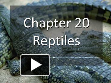 PPT – Chapter 20 Reptiles PowerPoint presentation | free to download ...